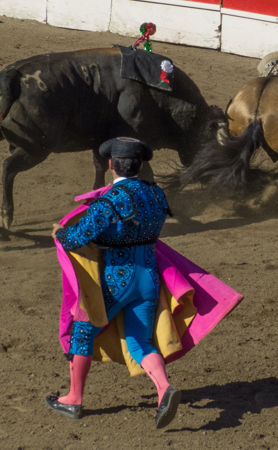 How to Become a Matador | Enduring Wanderlust